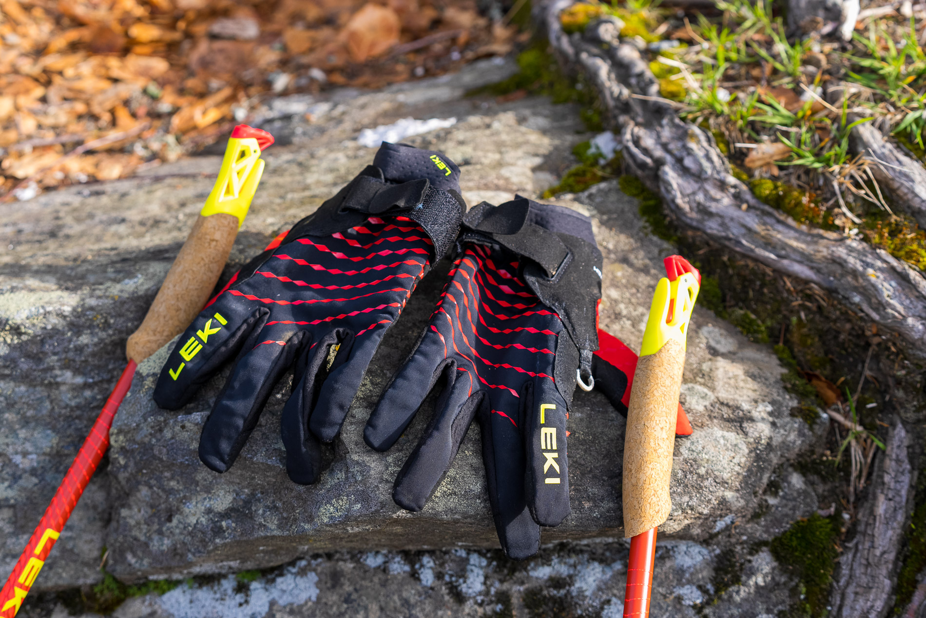 xc-run.de-11 - LEKI Ultra Trail Shark: Galerie - xc-run.de Trailrunning