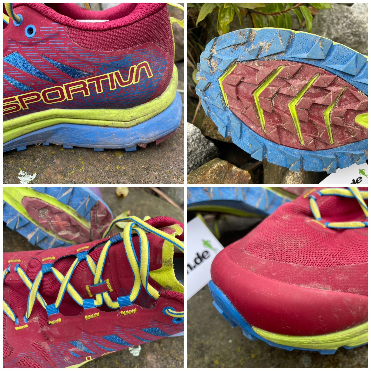 La Sportiva Jackal II GTX - xc-run.de Trailrunning