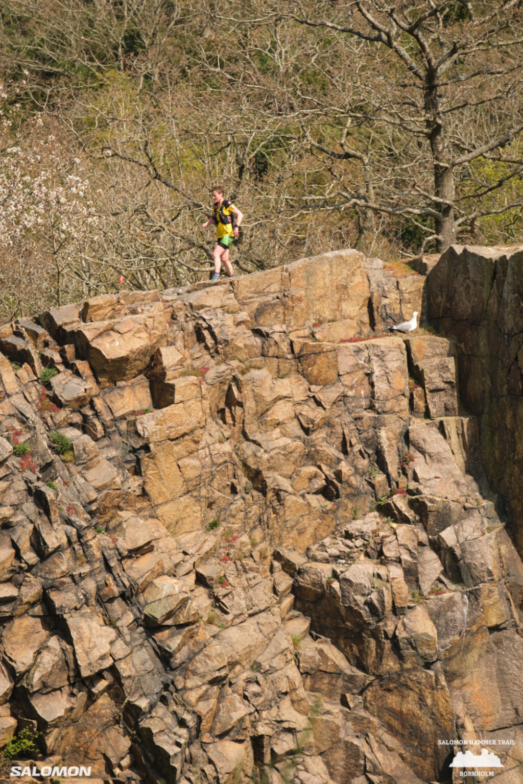 Hammer Trail Bornholm 2024: Dänemarks härtester Trailrun - xc-run.de ...